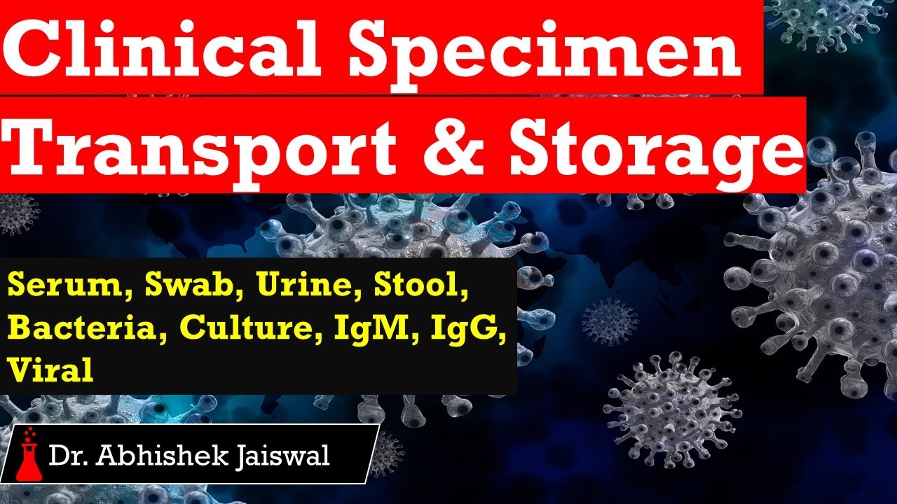 Guidelines for Clinical Samples Collection , Transport and Storage ...