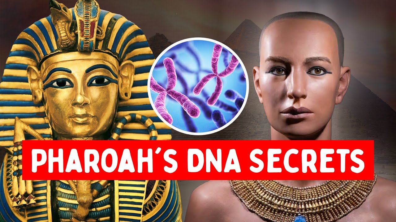 Why This Pharaoh’s DNA is So Unique (Ancestors & Extinction) - YouTube