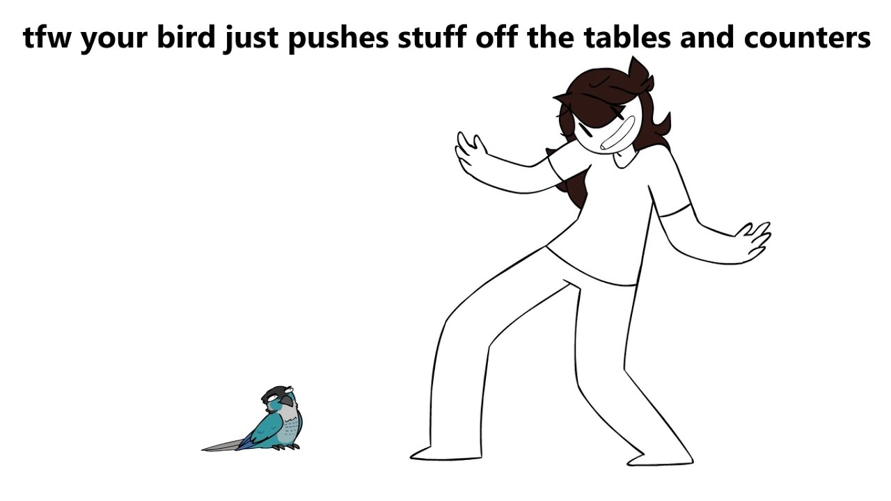 Ari pushes stuff off tables and counters for 20 minutes - YouTube