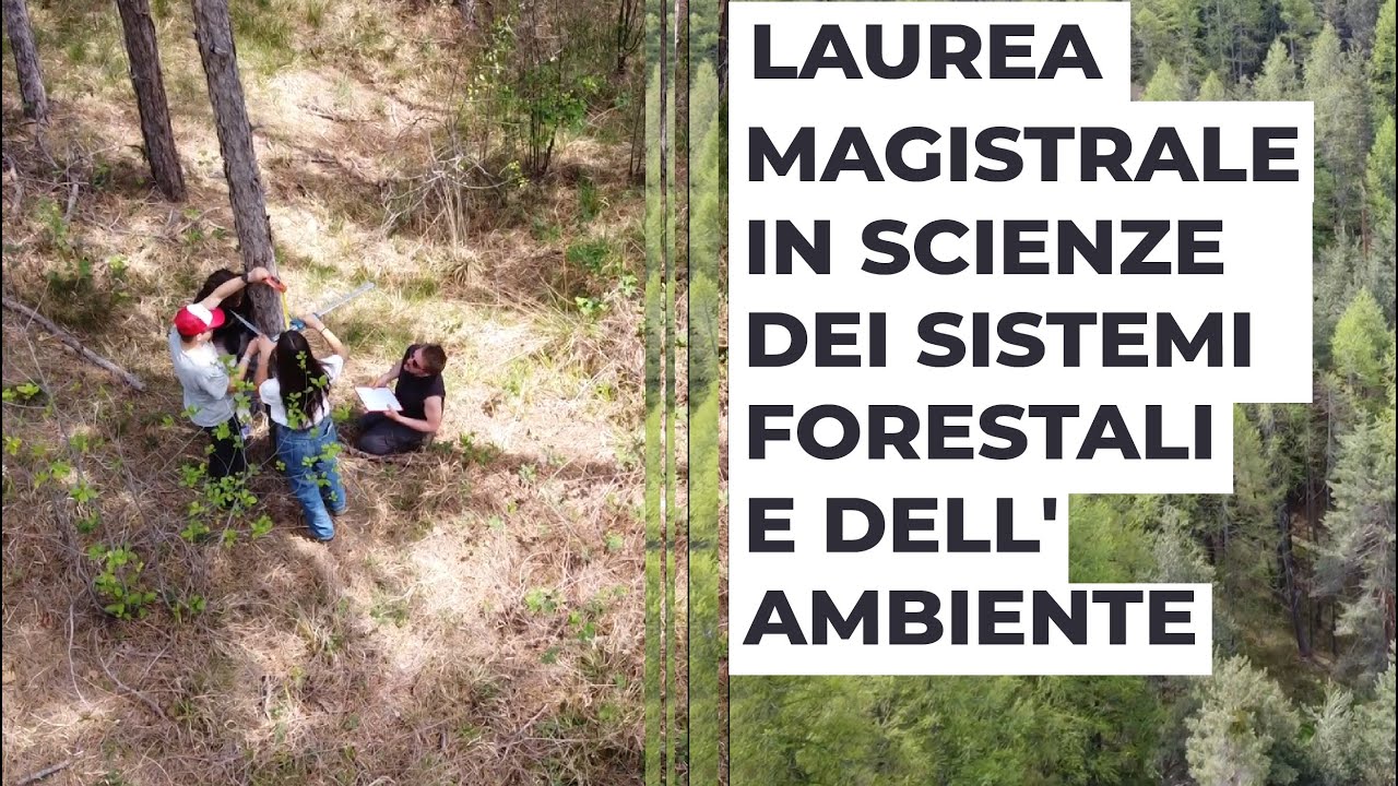 Laurea Magistrale in Scienze dei Sistemi Forestali e dell'Ambiente ...