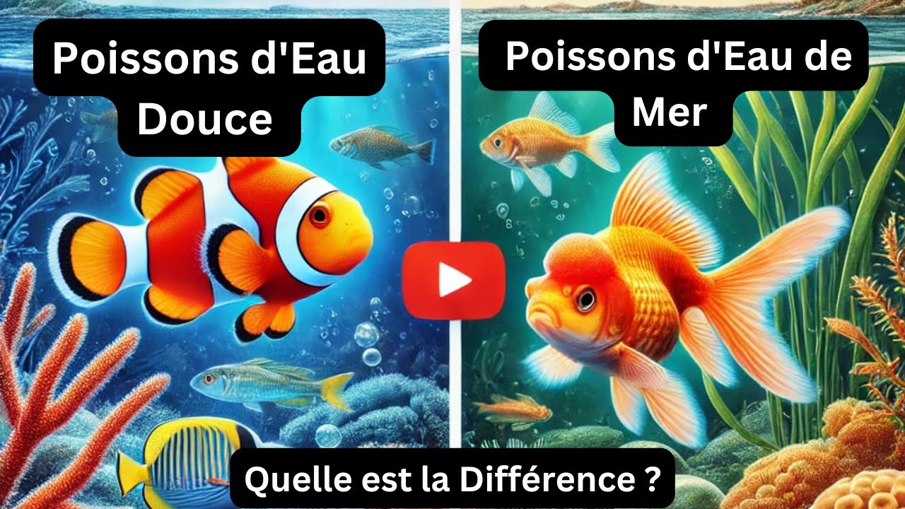 Poissons d'eau douce vs d'eau de mer : Quelle différence ? #sea #facts ...