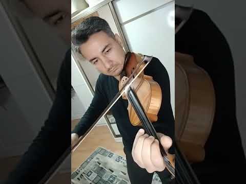 Gülpembe (keman)🎻