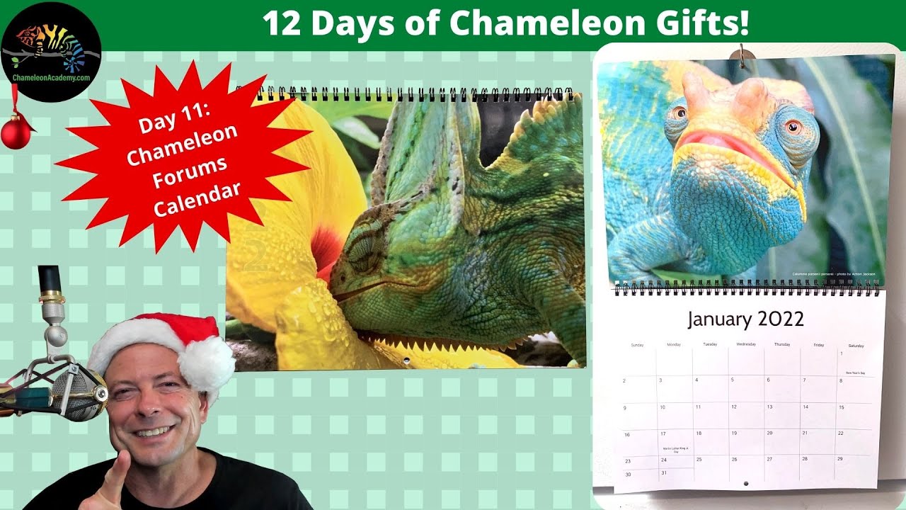 Chameleon Gifts Day 11 Chameleon Forums Calendar - YouTube
