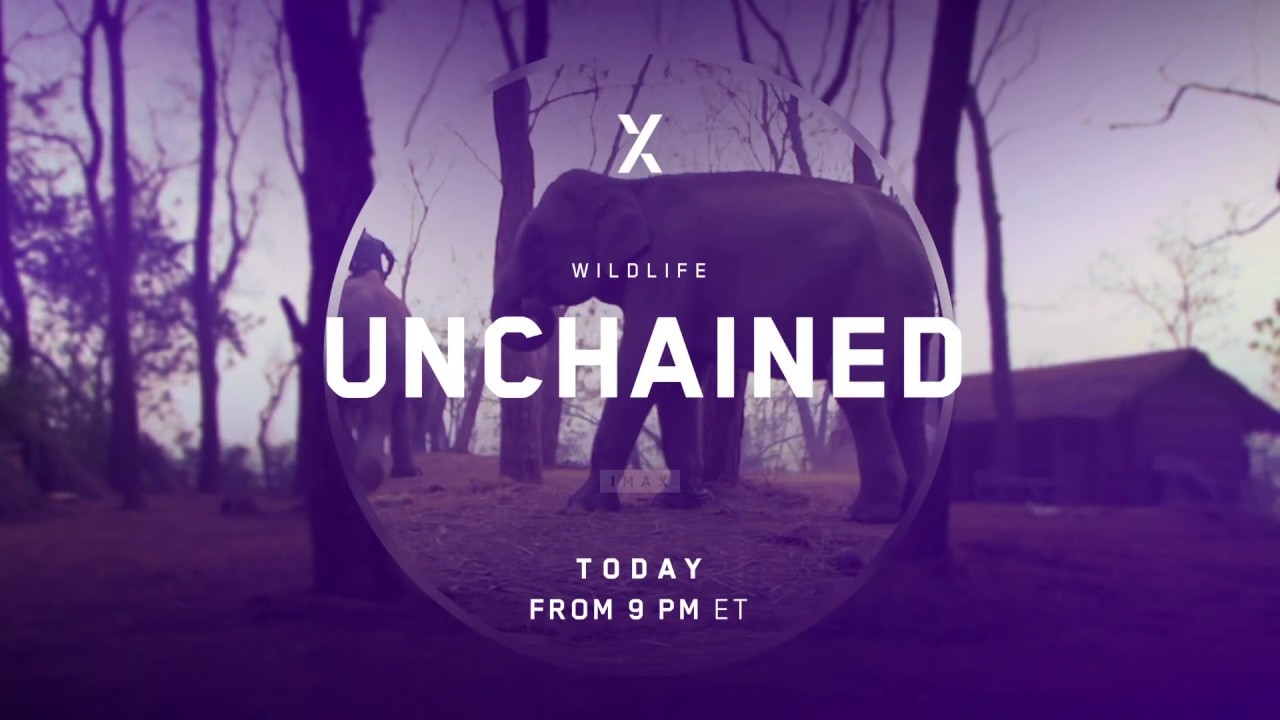 Unchained