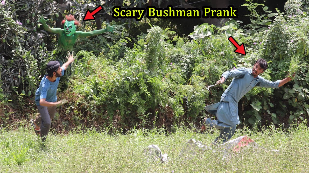 Top Laughing Bushman Prank Funniest Boys Reaction Bushman New Prank ...