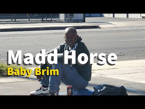 Mad Horace Original Baby Brim