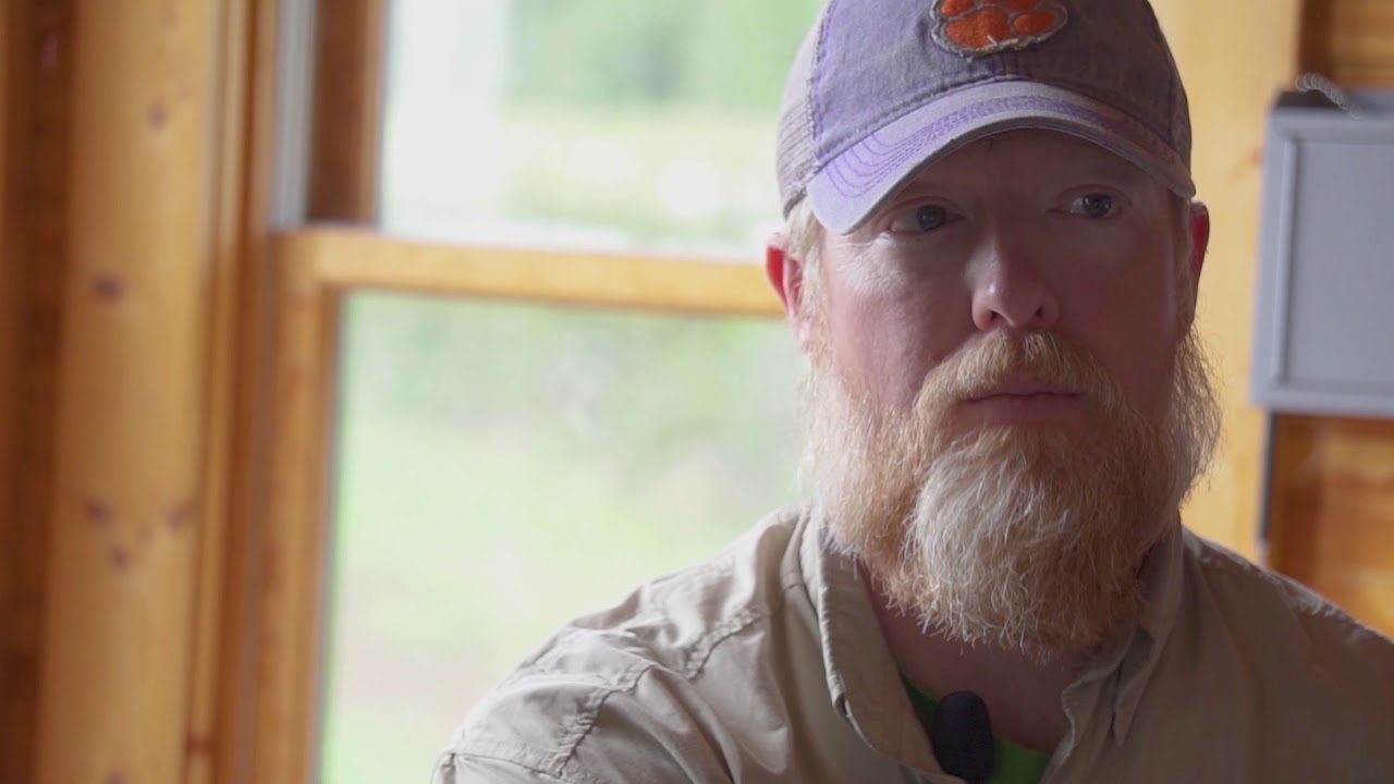 David Robb: An Expert In His Field - YouTube