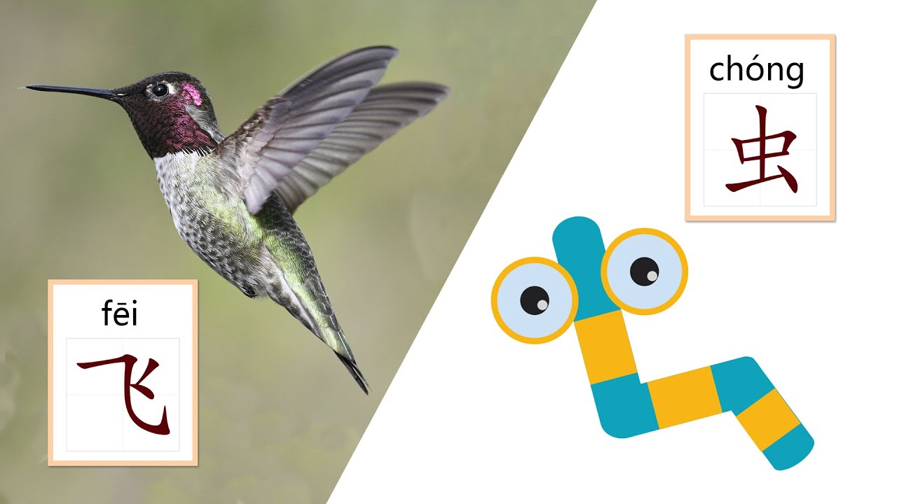 【看图学汉字】Learning Chinese Characters with Pictures | Episode 22 - Fly ...