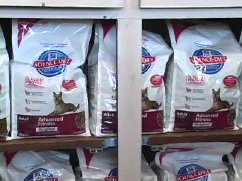 Curry County Animal Shelter - YouTube