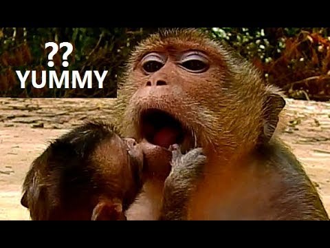 What what Mom ? I look you so yummy, Let's Me See | Baby Lola make you ...