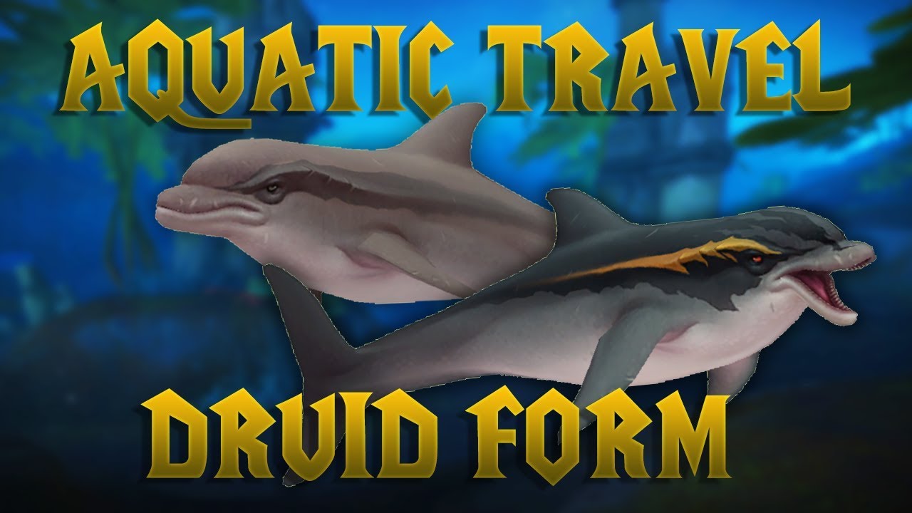 DOLPHIN AQUATIC DRUID Travel Form | Battle for Azeroth - YouTube