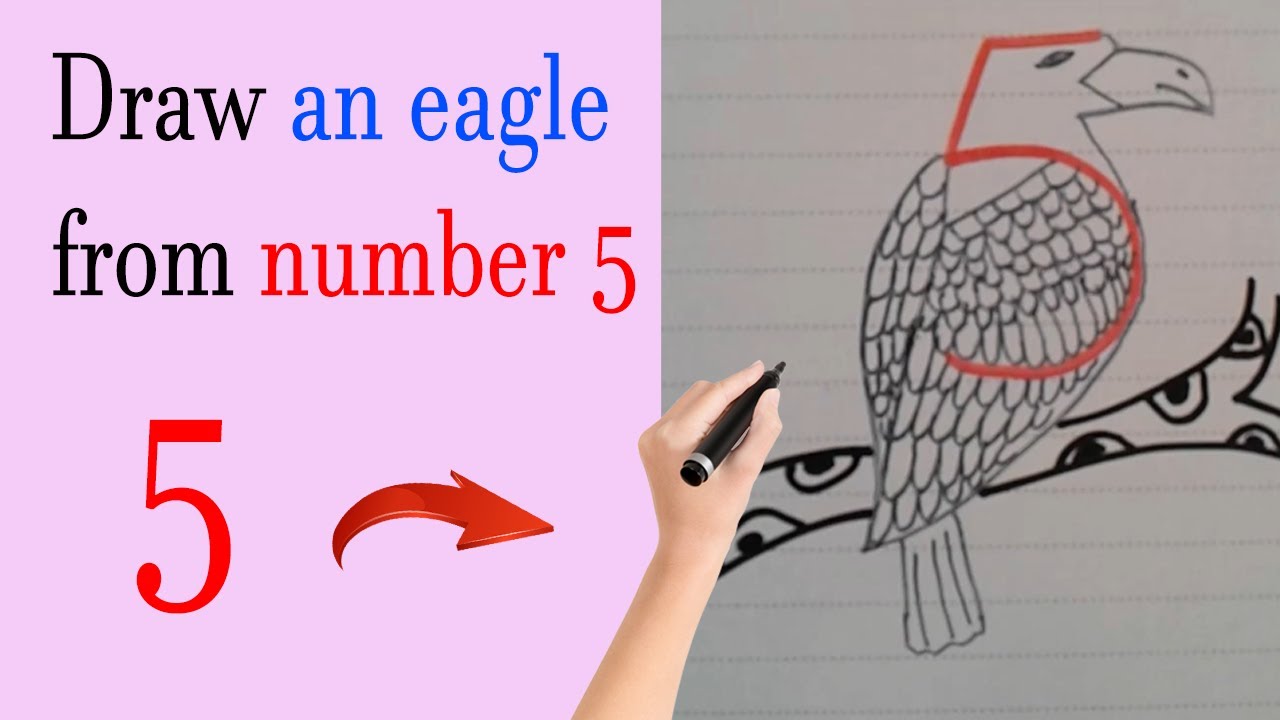 How to Draw an eagle from number 5 || drawing by numbers - YouTube