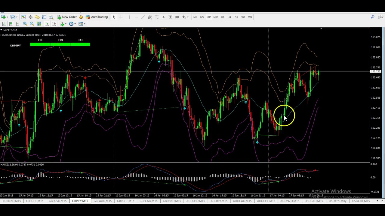 New Powerful Forex Day TraderX System In Action Live Trading - YouTube