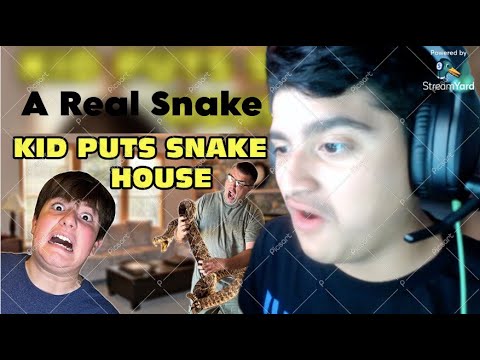 OSM | Kid Temper Tantrum Puts A Real Snake Inside Parent's House ...