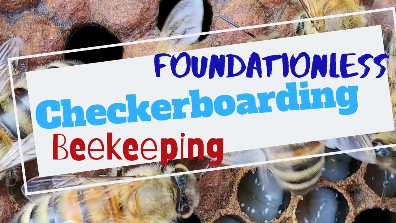 ☯️ Beekeeping | CHECKERBOARDING FOUNDATIONLESS FRAMES| HOW TO NOT GET ...
