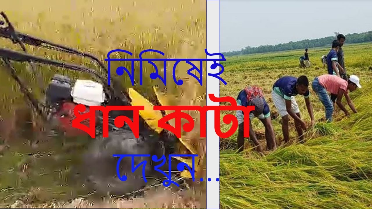 Paddy Cutting by new technology - YouTube