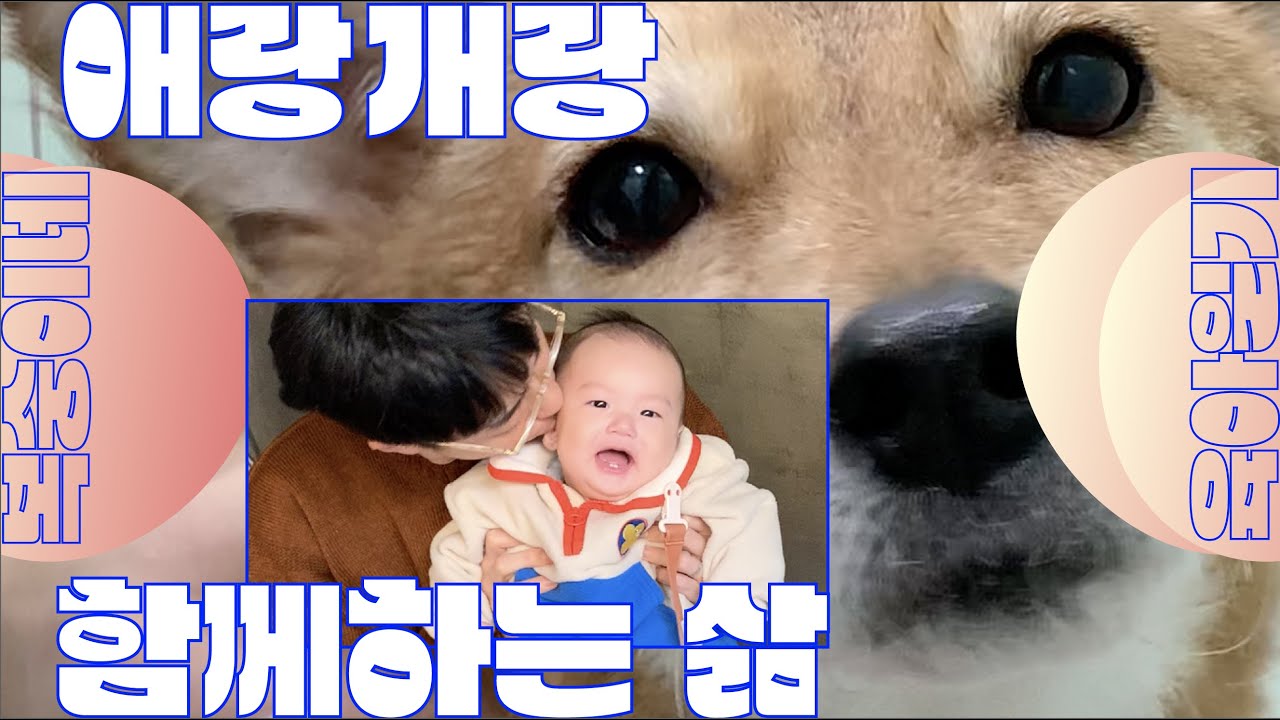 ๐ถ๐ป์ก์vlog ๐ฆ๊ฐ์์ง์ ํจ๊ป 6๊ฐ์ ์๊ธฐ ํค์ฐ๊ธฐ ๐์ ๊ธฐ๊ฒฌ ์
์๊ฐ์กฑ ์๊ธฐ์ ๊ฐ์์ง๋์ดํฐ ๊ฐ๊ธฐ ๋งํฌ ๊ณต๋ ๋จน๋ฐฉ