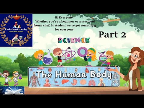 All About the Human Body : Easy to Understand | A Simple Guide for ...