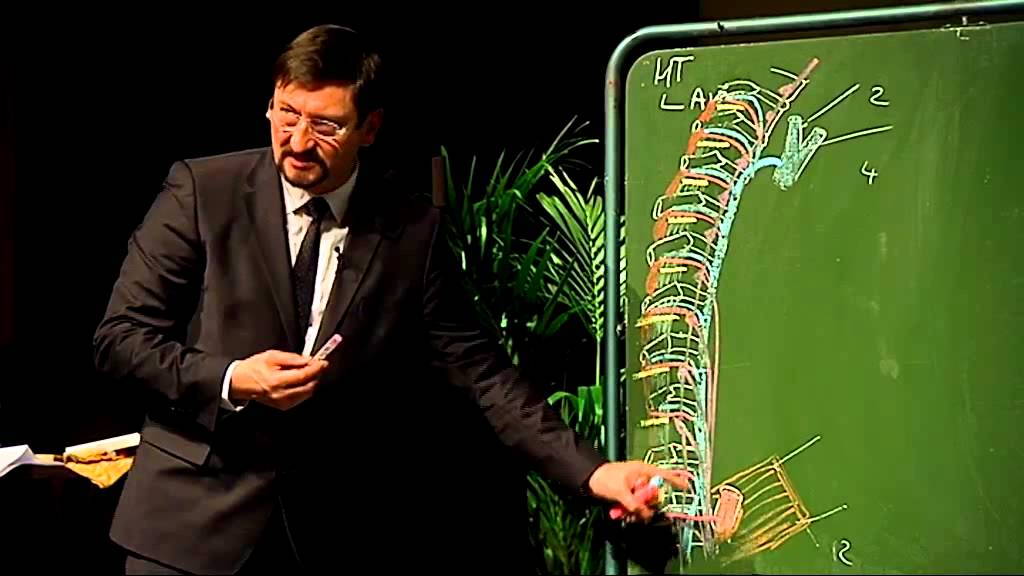 LECON D'ANATOMIE - YouTube