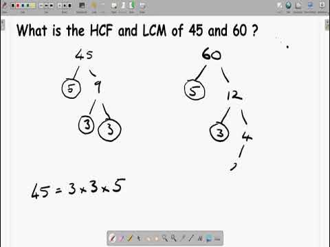 Finding the HCF and LCM of two numbers using a Venn Diagram - YouTube