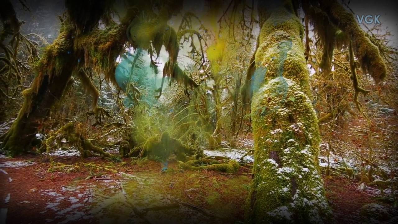 Frank Borell - Sleepy Hollow (Slow Your Life Mix) - YouTube