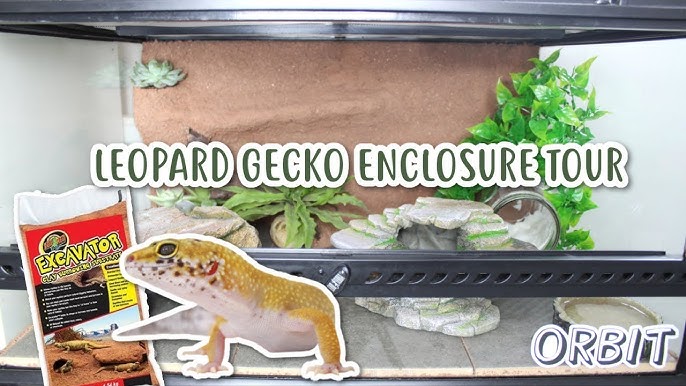 Complete Leopard Gecko Kit 60 Gallon Version –, 40% OFF