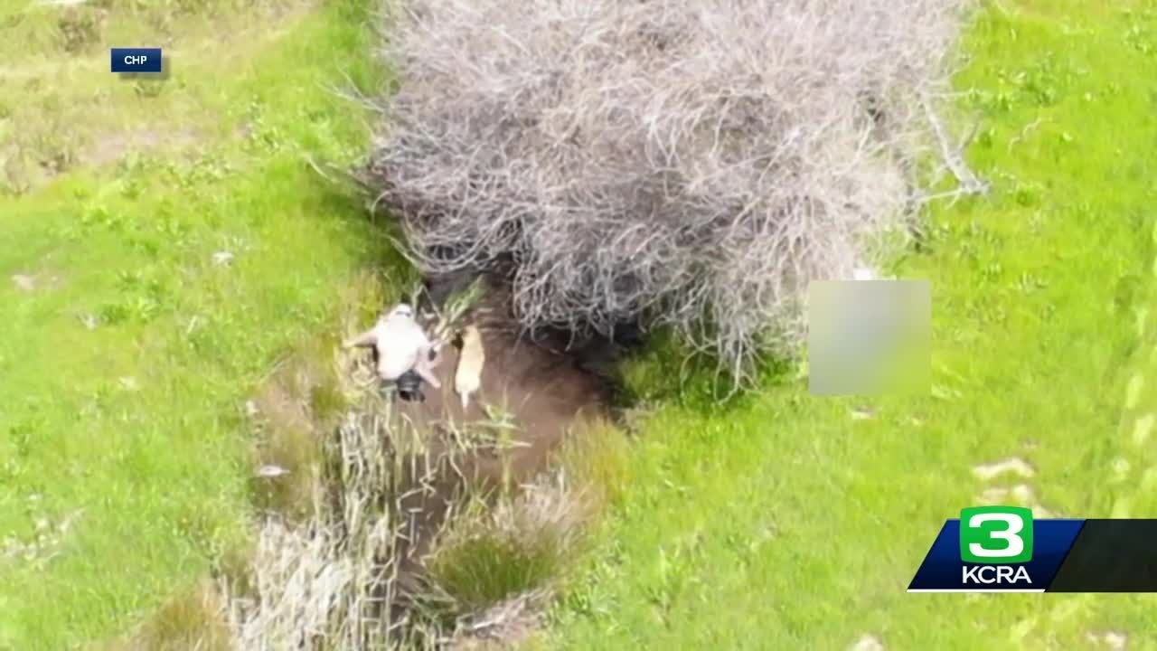 Eric Abril Latest | Drone video shows never-before-seen footage during ...