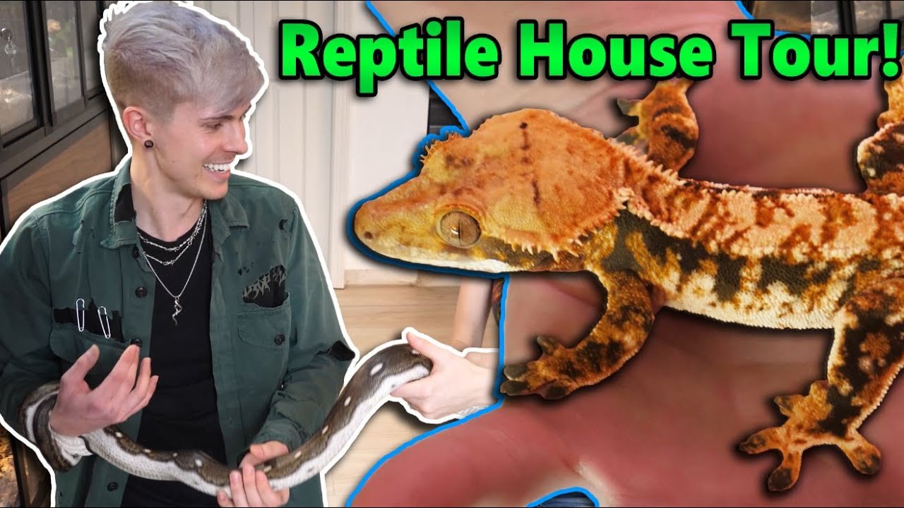 Animal House Tour! -Tyler Rugge and Maddie Smith! - YouTube