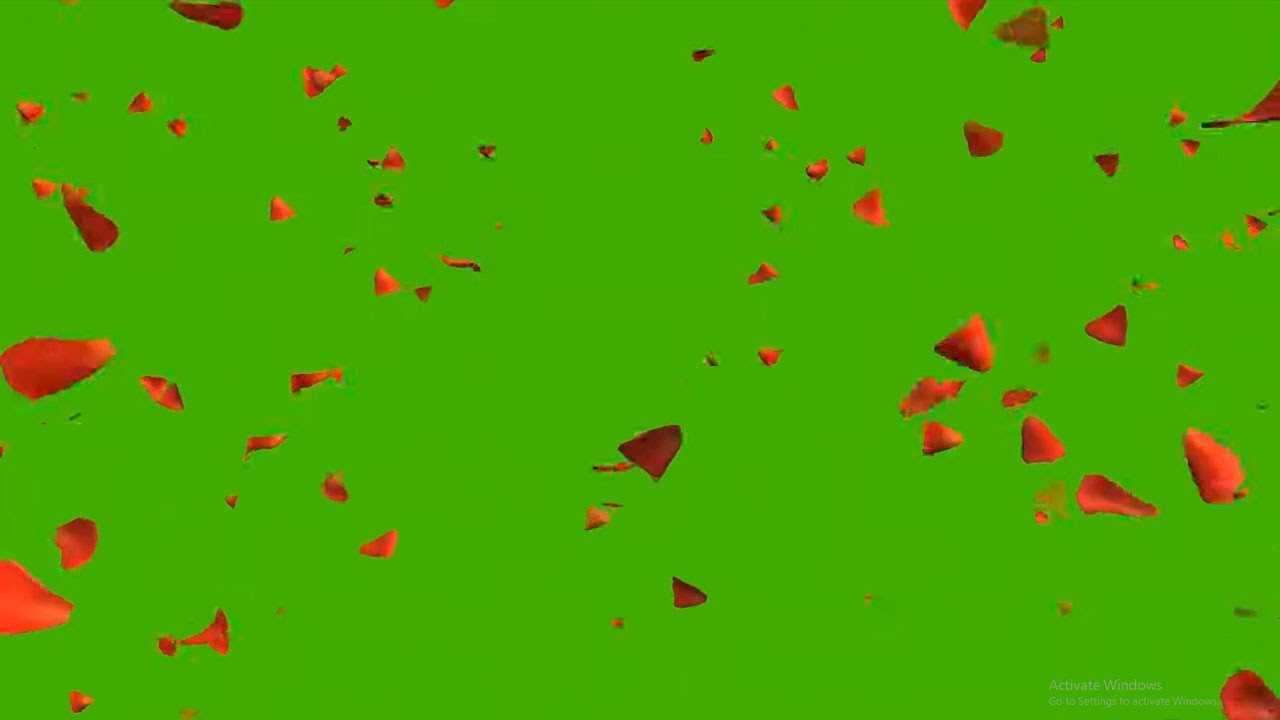 Rose Petals Green Screen Effects Free Download HD 1080p | Rose Petals ...