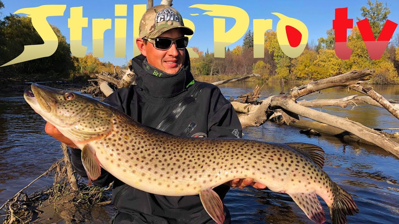 Strike Pro TV - TARGET AMUR (Amur Pike Fishing in Eastern Russia) - YouTube