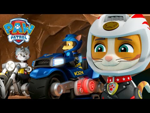 Дивата котка и мото кученцата спасяват хванатия в капан Чейс и още! PAW Patrol Bulgarian карикатури