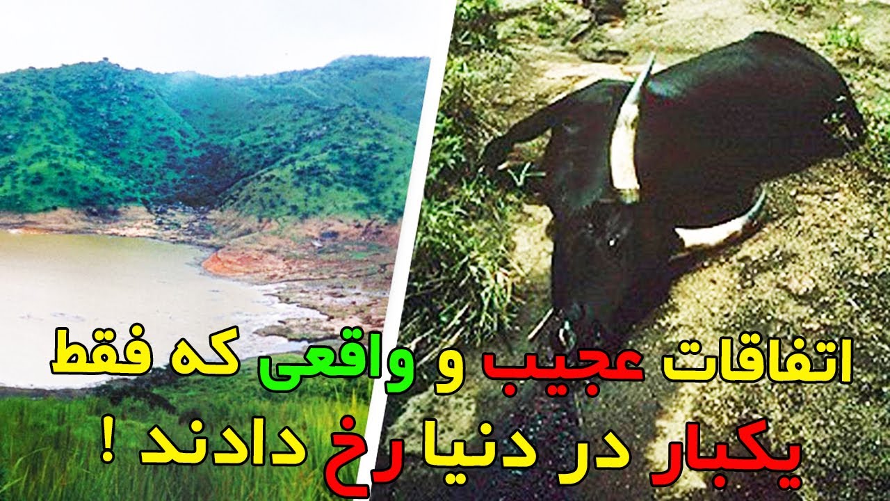 اتفاقات عجیب و واقعی که فقط یکبار در دنیا رخ دادند Youtube