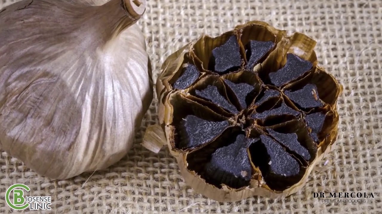 Discovering Dr Mercola's Fermented Black Garlic Supplement - YouTube