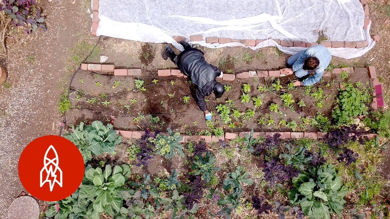 Helping the Homeless Through Farm-to-Table Training - YouTube