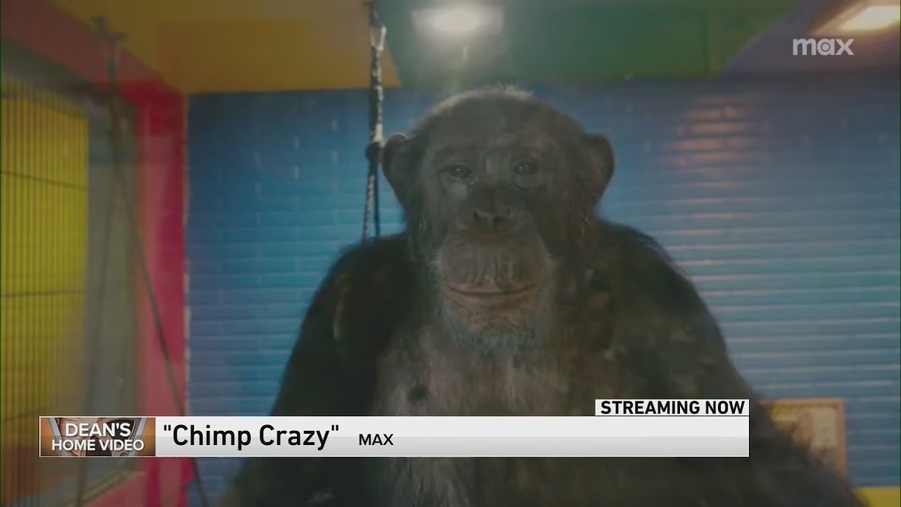 Dean's Home Video: The Killer, Classified, Chimp Crazy and more - YouTube