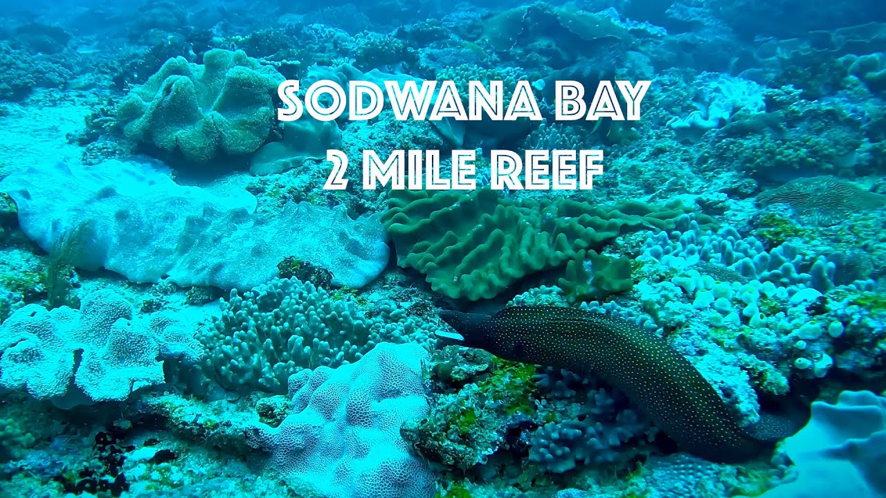 Scuba Diving Sodwana Bay - YouTube