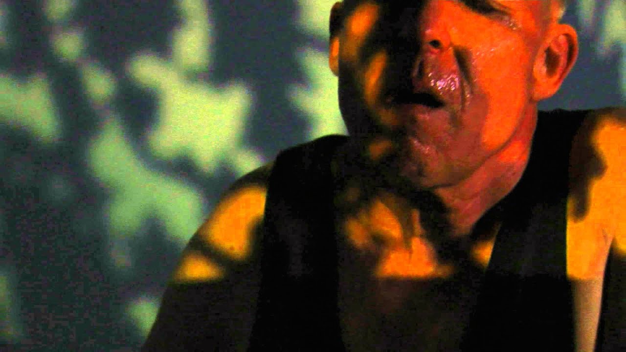 The Sycamore Tree Project - YouTube