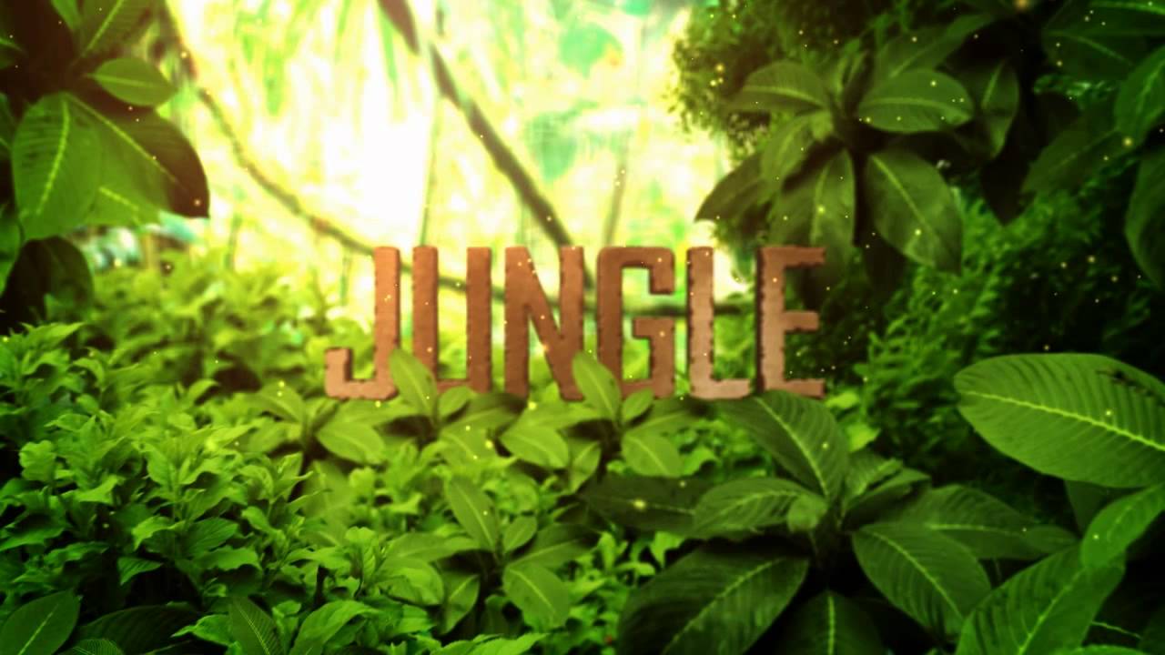 JUNGLE EFFCET ANIMATION VFX - YouTube