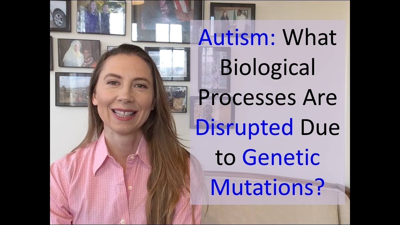 Autism: What Biological Processes Are Disrupted Due to Genetic ...