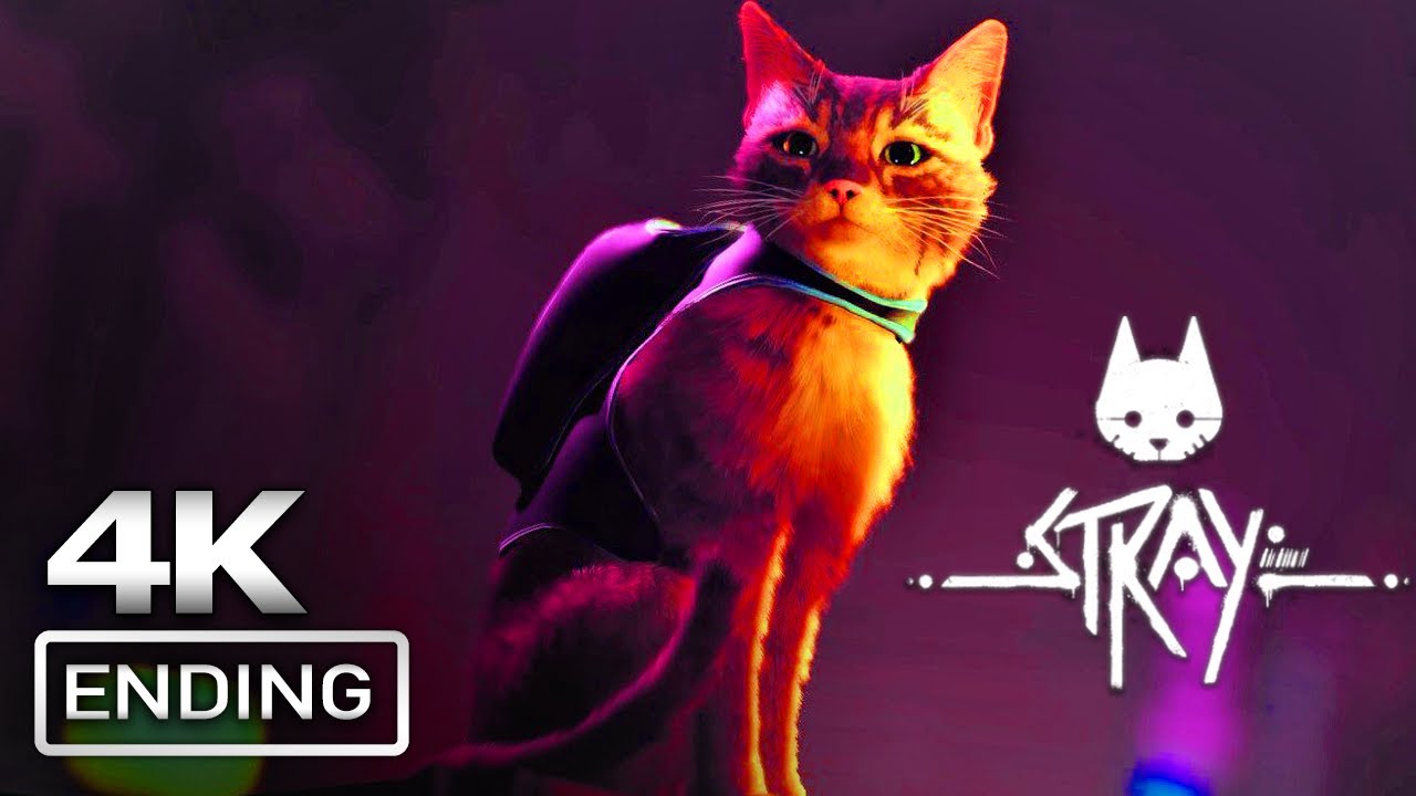 STRAY Ending PS5 4K 60FPS Ultra HD - YouTube