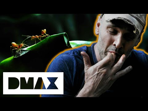 Ed Eats Live Ants While Crossing The Jungles Of Thailand | Ed Stafford: First Man Out