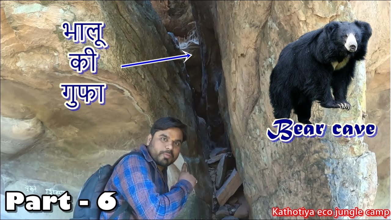Kathotiya Eco Jungle Camp Gufa or Jharna || Part 6 || @kksharmavlog ...