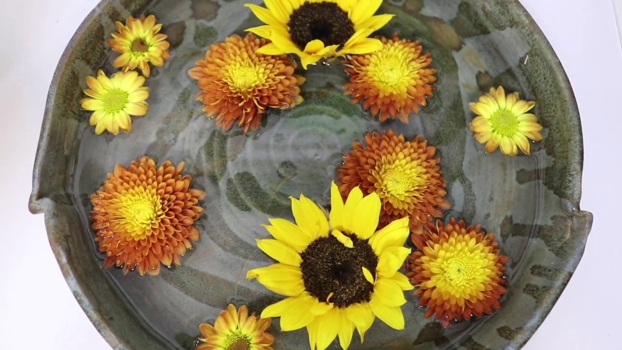 Flower Meditation Solar Plexus Chakra - YouTube