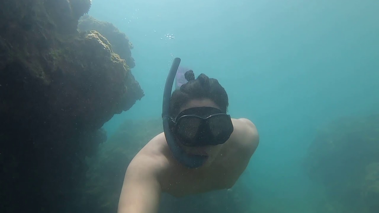 Kuliatan Marine Sanctuary, San Joaquin, Iloilo - YouTube