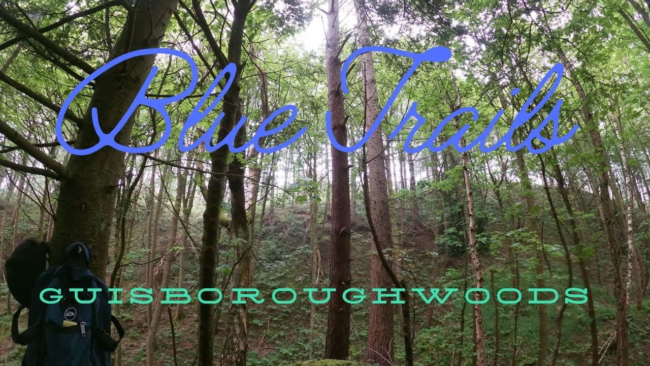 Stripes 2 and other blue Trails / Guisborough Woods - YouTube
