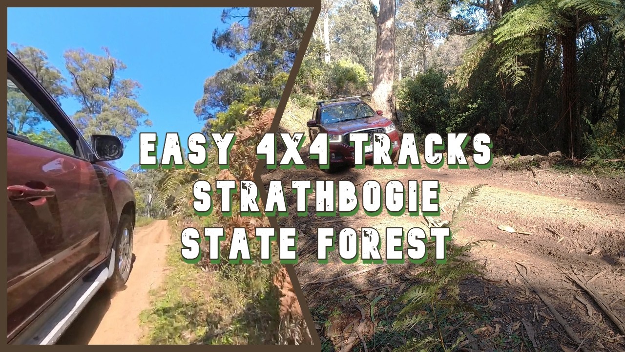 Easy 4x4 tracks near Melbourne - Strathbogie State Forest - YouTube