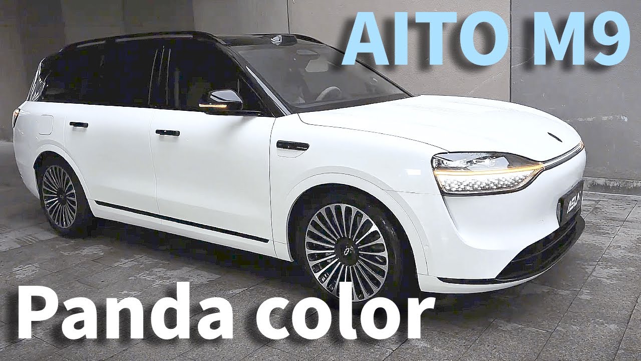 AITO M9 Change to panda color - YouTube