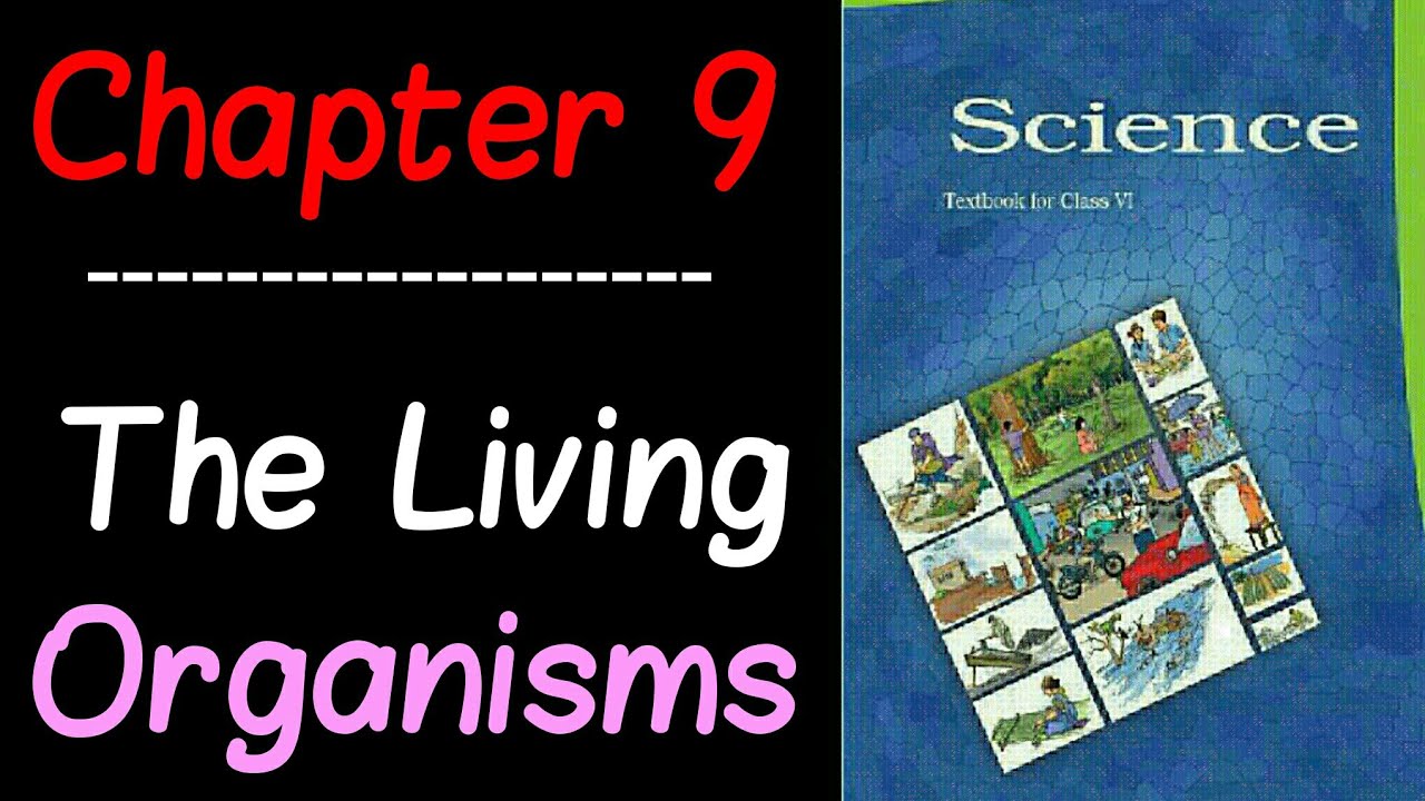 The Living Organisms CLASS 6 SCIENCE CHAPTER 9 NCERT Explained In Hindi YouTube the-living-organisms-class-6-science-chapter-9-ncert-explained-in-hindi-youtube