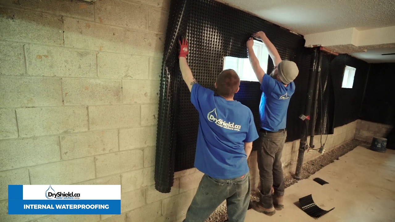 Dryshield - INTERNAL WATERPROOFING - YouTube