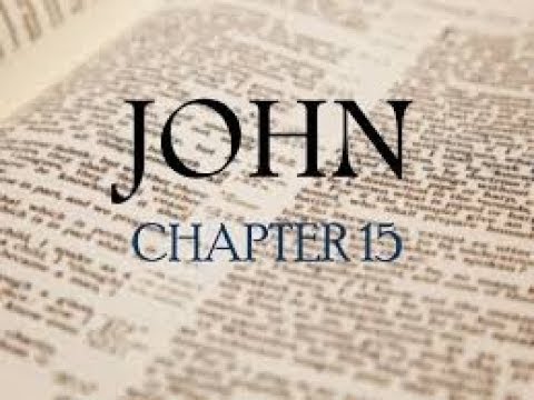 John Chapter 15 Verses 1 through 27 The Vine and The Branches Review ...